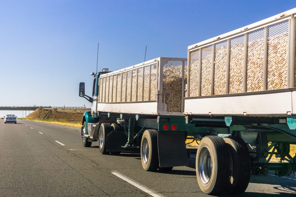 Everything You Need To Know About Logistics Management Systems ...